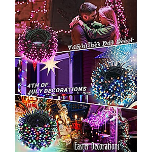 Flacchi Color Changing String Lights with Remote Control/Timing Function/Indoor & Outdoor RGB 105Ft 300LED Christmas Lights for Halloween, Christmas Decor, Garden, Party, Xmas Decorations