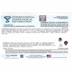 Ian and Valeri Co. Amber Sterling Silver Small Stud Earrings