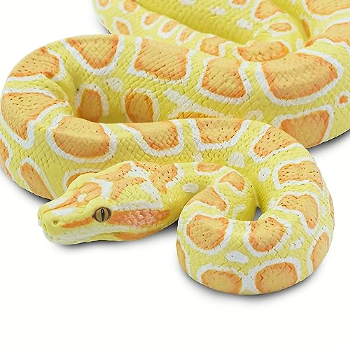 Safari Ltd. Albino Burmese Python Figurine - Lifelike 5.5" Snake Figure - Educational Toy for Boys, Girls, and Kids Ages 3+