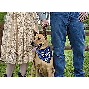 YHTWIN It's a Boy Blue Plaid Cotton Pet Dog Bandanas, Gender Reveal Photo Triangle Pet Scarf Scarves, Dog Birthday Party Decorations Props Accessories for Pet Dog Master Lovers Gift