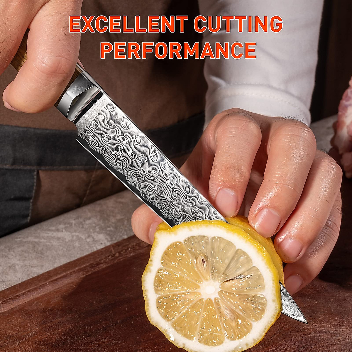 FUJUNI Kitchen Utility Knife 5 inch Damascus Small Chef Knife 67-Layer Damascus VG10 Steel Ultra Sharp Professional Paring Knife with Hexagon Natural Wood Handle
