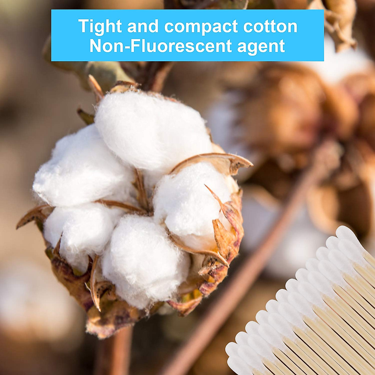 500pcs Cotton Swabs Double Round with Natural Wooden Sticks, Thick Cotton Buds for Daily Use Firm Qtips Cotton Swabs in One Small Box