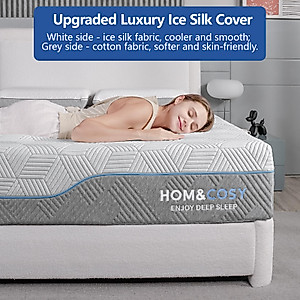 Firm Mattress Queen Size 12 Inch Memory Foam Bed Mattress with Ice Silk Cover, Premium Cooling Green Tea/Gel Mattress in Box, Medium Firm to Firm Bamboo Mattresses for Back Pain, CertiPUR-US 60"x80"