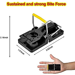 Mouse Traps Indoor Mouse Trap Mice Traps for House Power Mouse Killer Mouse Catcher Quick Effective Sanitary 6 Packs (6)