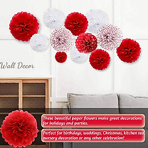 Qimoo 20pcs Red Paper Pom Poms Decorations, DIY Decorative Tissue Paper Pom-poms Flowers Ball for Party Wedding Outdoor Decoration
