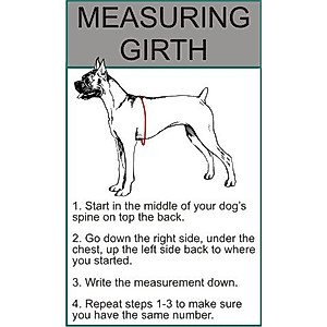 Doggie Stylz Multi-Functional Full-Body Lifting Dog Harness Vest, Designed for Front-Only, Rear-Only or Full-Body Dog Lifting