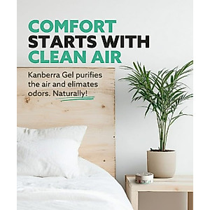 KANBERRA GEL 524001 Natural Air Purifier Gel, 2-Ounce