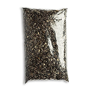 Schoen Farms Striped Sunflower Seeds for Birds, (3 Pound)
