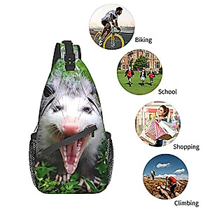 Possum Hissing Chest Bag Shoulder Bag, Animal Sling Backpack Casual Travel Bag For Men And Women
