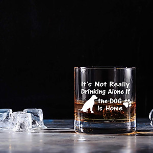 Perfectinsoy It's Not Really Drinking Alone if the Dog is Home Whiskey Glass Gift Box, Funny Dog Lover Gift for Dog Mom, Dog Dad, Dog Owner, Friends, Fur Mom, Fur Dad, Pet Grandma,Pet Grandpa
