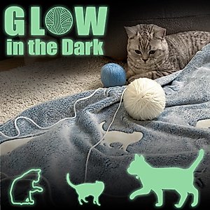 JINCHAN Dinosaur Glow in The Dark Blanket, Kids Throw Blanket for Boys and Girls Gift Green Lightweight Flannel Fleece Throw Blankets for Couch Bed Warm Soft Cozy Throw Winter Baby Blankets 50x60 Inch
