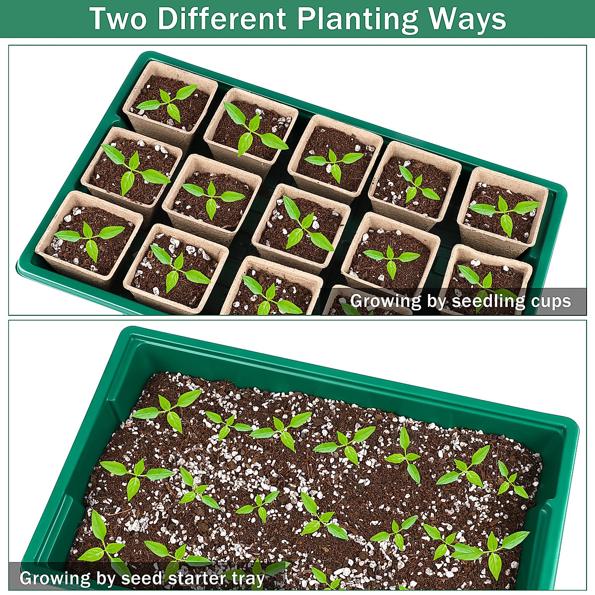 Hahood 6 Pack Seed Starter Tray Kit with 120 Square Peat Pots for Seedlings, Including Plants Labels, Planting Tools, Growing Trays Plastic Germination Tray Paper Starter Pods for Plant Seeds, Green