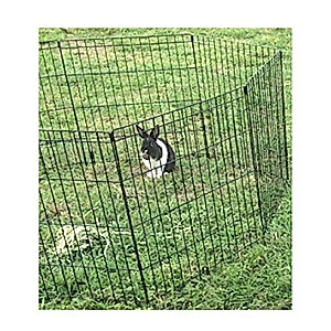 Bunny Rabbit Pen Exercise Indoor 41-Inch with Door House Pet Dog 8 Panel Gate Yard Enclosure X Pen Xpen Fence Playpen & by OISTRIA