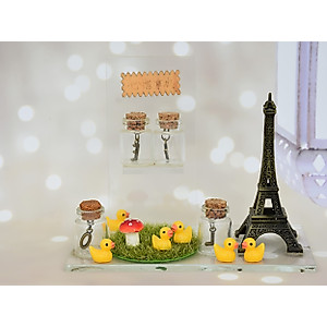 Yuronam 70 Pcs Tiny Ducks Mini Resin Ducks Miniature Ornaments for Slime, Dollhouse, Garden Decoration(Mixed Duck)