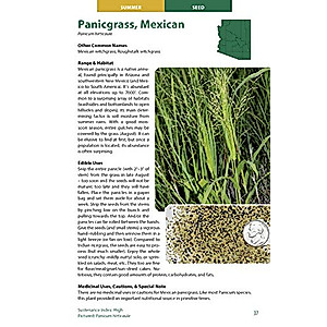 Wild Edible Plants of Arizona