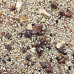 Higgins 2 Pack of Worldly Cuisines African Sunset Bird Treat, 2 Ounces Each