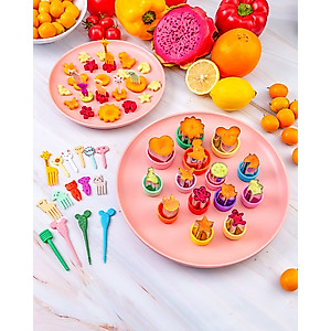 Sandwich Cutter for Kids 48 Pcs, Kimfead Cookie Cutters, Fruit Vegetable Cutter Shapes, Food Picks for Bento Box, Mouse Dinosaur Star Square Heart Shape