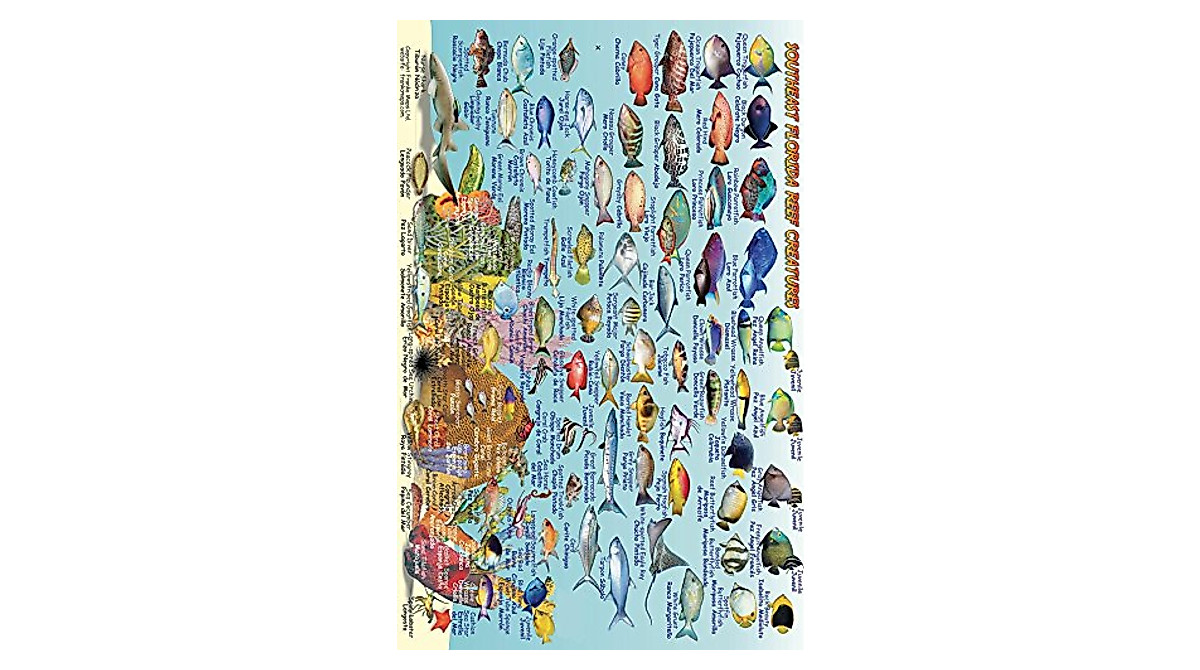 Explore Southeast Florida Dive Map & Coral Reef Guide