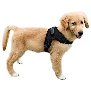 Copatchy No Pull Reflective Adjustable Dog Harness with Handle- Comfortable Soft All Weather Mesh, Easy On Puppy Harness for Small Medium and Large Dogs (Black) Small