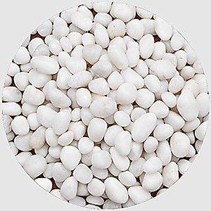 eloria-Decor Polished Decorative Gravel Super Marble Pebbles (White, Small, Polished) - 1 kg