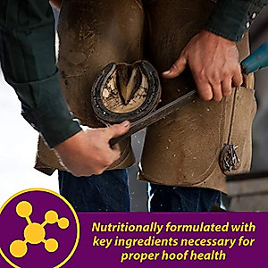 Horse Health Shur Hoof Hoof Supplement for Horses, Helps Grow Strong, Tough Hooves, 2.5 Pound, 40 Day Supply