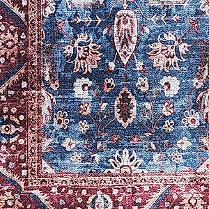 Nourison Brilliance Machine Washable Traditional Vintage Blue/Brick 7'10" x 9'10" Area -Rug, Easy -Cleaning, Non Shedding, Bed Room, Living Room, Dining Room, Kitchen (8x10)