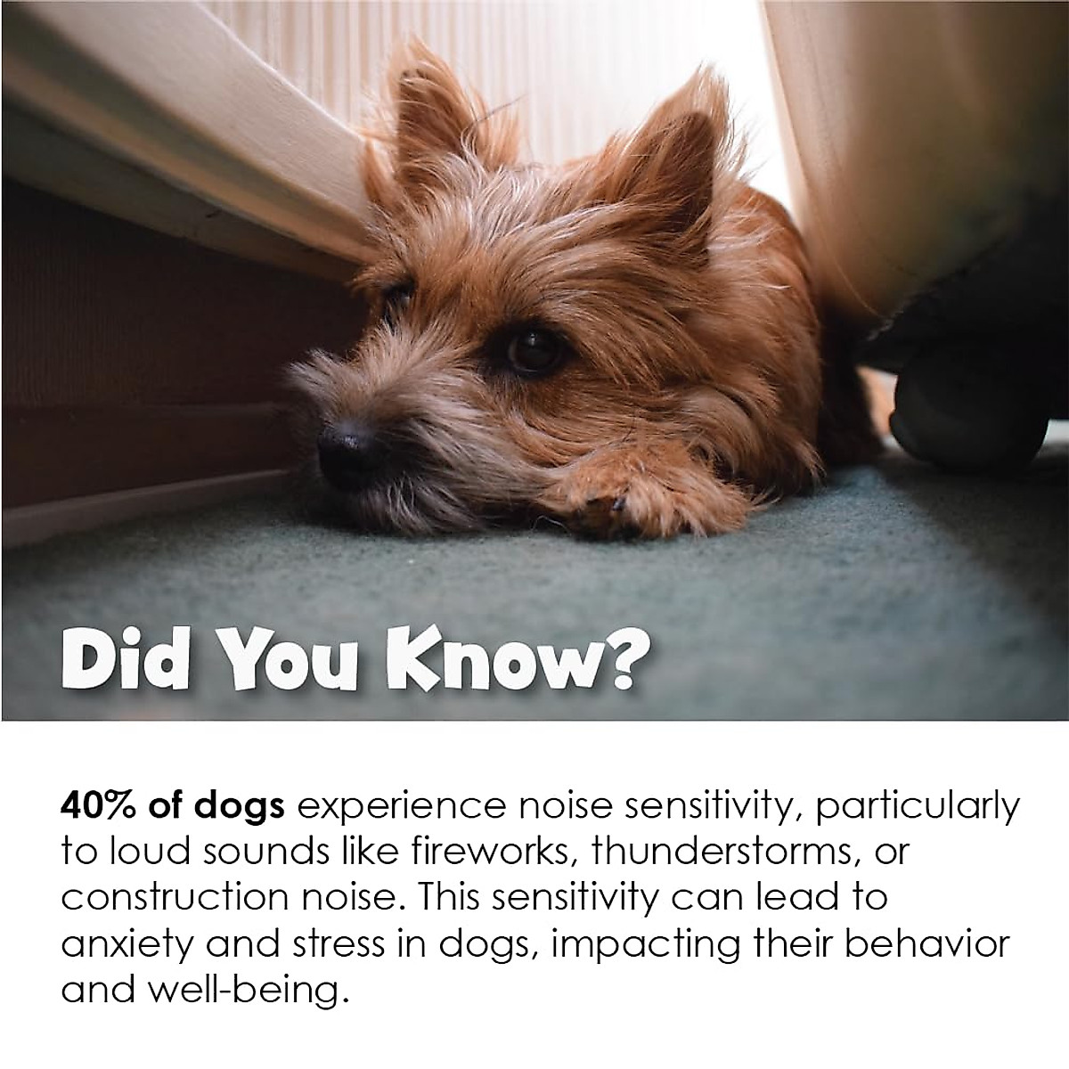 TranQuil-Tabs for Dogs - Contains Chamomile, L-Tryptophan, and Melatonin - Relieves Stress and Tension - Ease Travel and Separation Anxiety - 60 Tabs