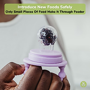 WeeSprout Silicone Baby Food Feeders + Freezer Tray for Batch Prep, Set of 2, Introduce New Foods Safely, Double as Teething Toys, Includes 2 Extra Pouches & Travel Lids, Dishwasher Safe