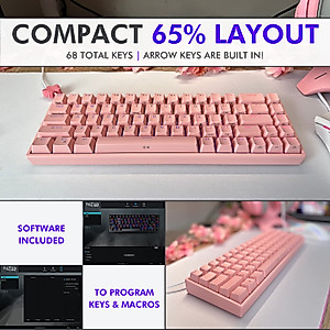 Tilted Nation 65% Percent Keyboard Pink - Compact Hot Swappable Mechanical Keyboard - Dual Wired or 2.4G Wireless RGB Gaming Keyboard - Rechargeable, 68 Key, Customizable RGB, Brown Switches