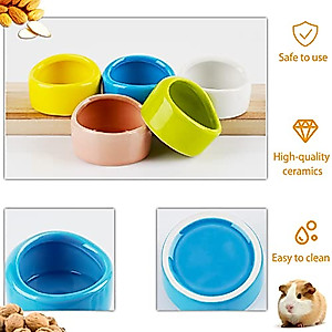 Fitlyiee Ceramic Chew-Resistant Hamster Bowl Dish for Hamsters Hedgehog Guinea Pig and More Small Animals (Pink)