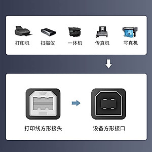 cablecc Dual USB 2.0 Male to Standard B Male Y Cable 80cm for Printer & Scanner & External Hard Disk Drive