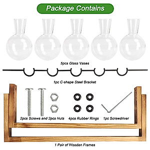 Plant Terrarium, Plant Propagation Stations with Wooden Stand, Gift for Women, Office Decoration - 5 Bulb Vase