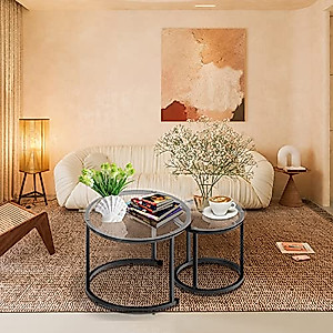 aboxoo Black Nesting Coffee Glass Table Set of 2, Metal Freme Side End Tables for Living Room Bedroom for Apartment Small Place Modern Industrial Simple, 23.6D x 23.6W x 17.7H in