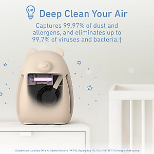 Pure Enrichment PureBaby Kids Bear Air True HEPA Air Purifier - Energy Star Rated, 4 Stage Air Filtration, UV-C Light, & Night Light for Medium-Large Rooms - Baby Nurseries, Kid Bedrooms (Sweet Oat)