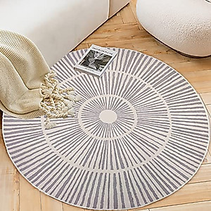 TEALP Round Area Rug 4Ft Circle Rugs Fluffy Bedroom Rug Ultra Soft Farmhouse Throw Rugs Living Room Rug Modern Aesthetic Rug Carpet for Bedroom Dorm Indoor Home Decor, 47.2" Grey
