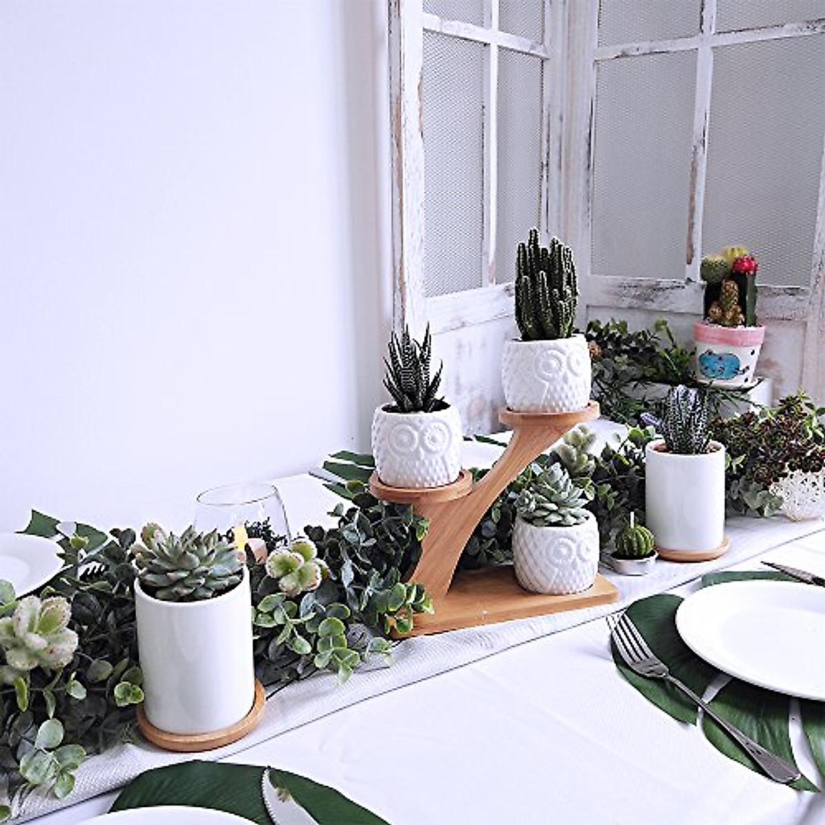3pcs Owl Succulent Pots with 3 Tier Bamboo Saucers Stand Holder - White Modern Decorative Ceramic Flower Planter Plant Pot with Drainage - Home Office Desk Garden Mini Cactus Pot Indoor Decoration