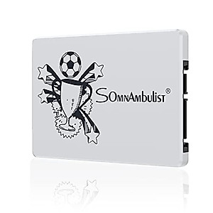 Somnambulist 2.5 sata ssd 120gb 240gb 480gb 960gb 2tb HDD ssd 60gb Solid State Drive Suitable for Desktop Laptop (White Trophy 2TB)