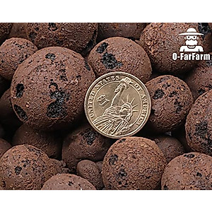 O-FarFarm Clay Pebbles for Indoor Plants, Hydroponics Supplies Clay Balls for Hydroponic Growing, 3 Sizes to Choose for Orchids, Hydroponics, Aquaculture(1qt, 10-30mm)