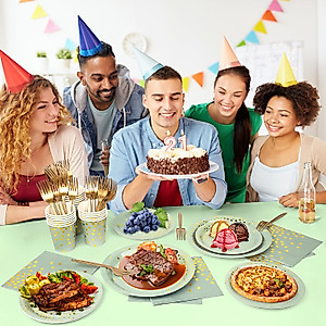 Etsutomy Sage Green Party Supplies, 127PCS Sage Green Paper Plates Napkins Cups Forks Disposable Dinnerware Set Serves 25 Guests, Sage Green Party Decorations for Wedding Baby Shower