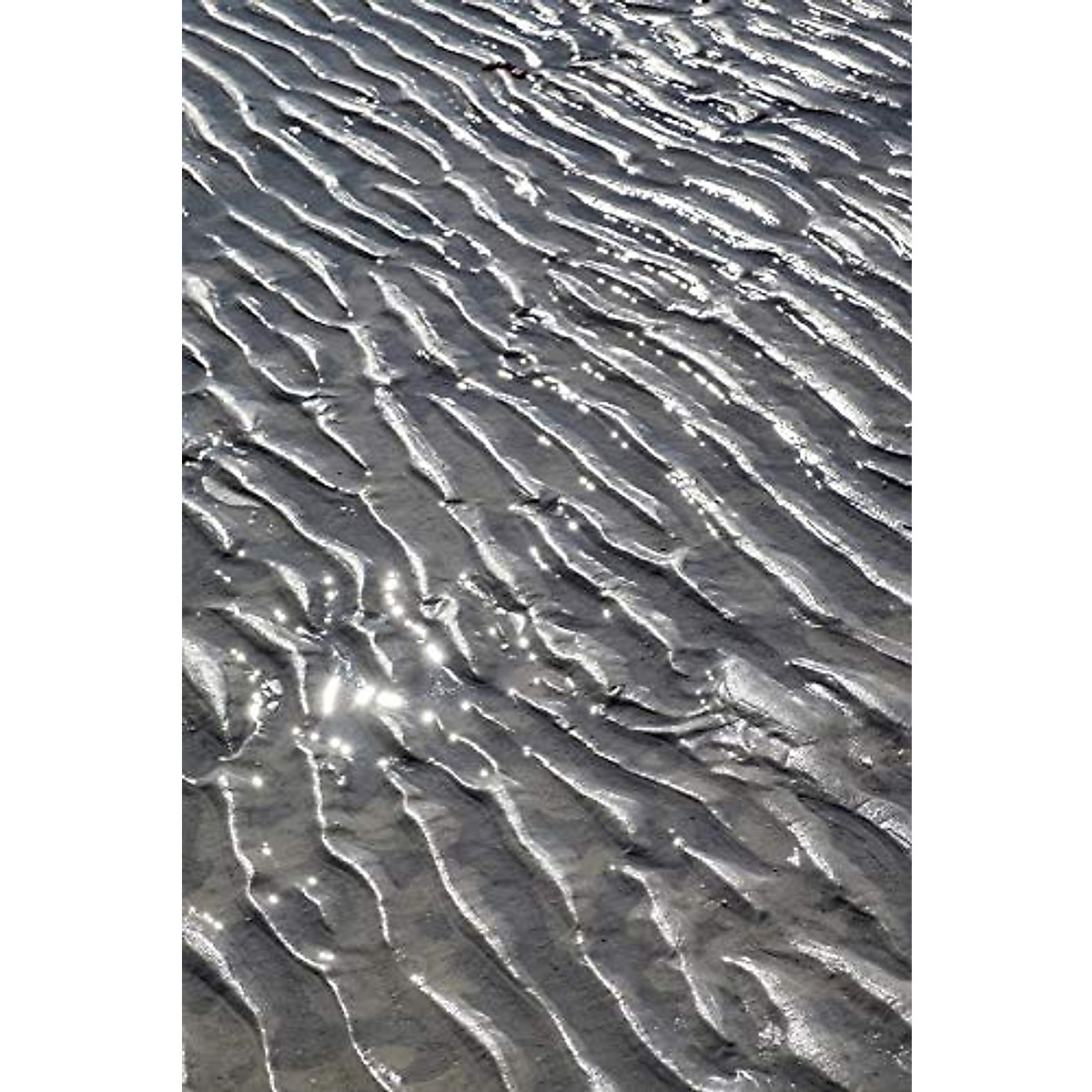 Posterazzi PDDUS10LEN1051 Ripples in The Sand, Beach at Honeymoon Island State Park, Dunedin, Florida, USA Photo Print, 18 x 24, Multi