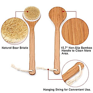 Shower Brush with Natural Bristle - Long Bamboo Handle Bath Body Brush for Wet or Dry Brushing - Improves Blood Circulation, Exfoliating Skin
