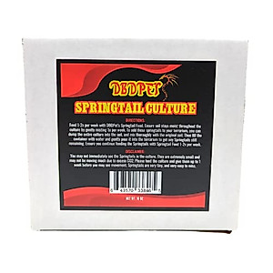 DBDPet Live Springtail Cultures - Great for Terrariums, Vivariums, and More - Microfauna for Bioactive Reptile & Amphibian Cages (Soil Culture)