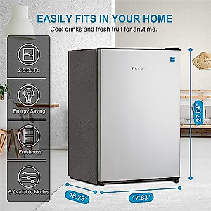 Frestec 2.5 CU' Mini Refrigerator, Small Refrigerator, Mini Fridge with Freezer, Compact Refrigerator, Stainless Steel (FR 250 SL)