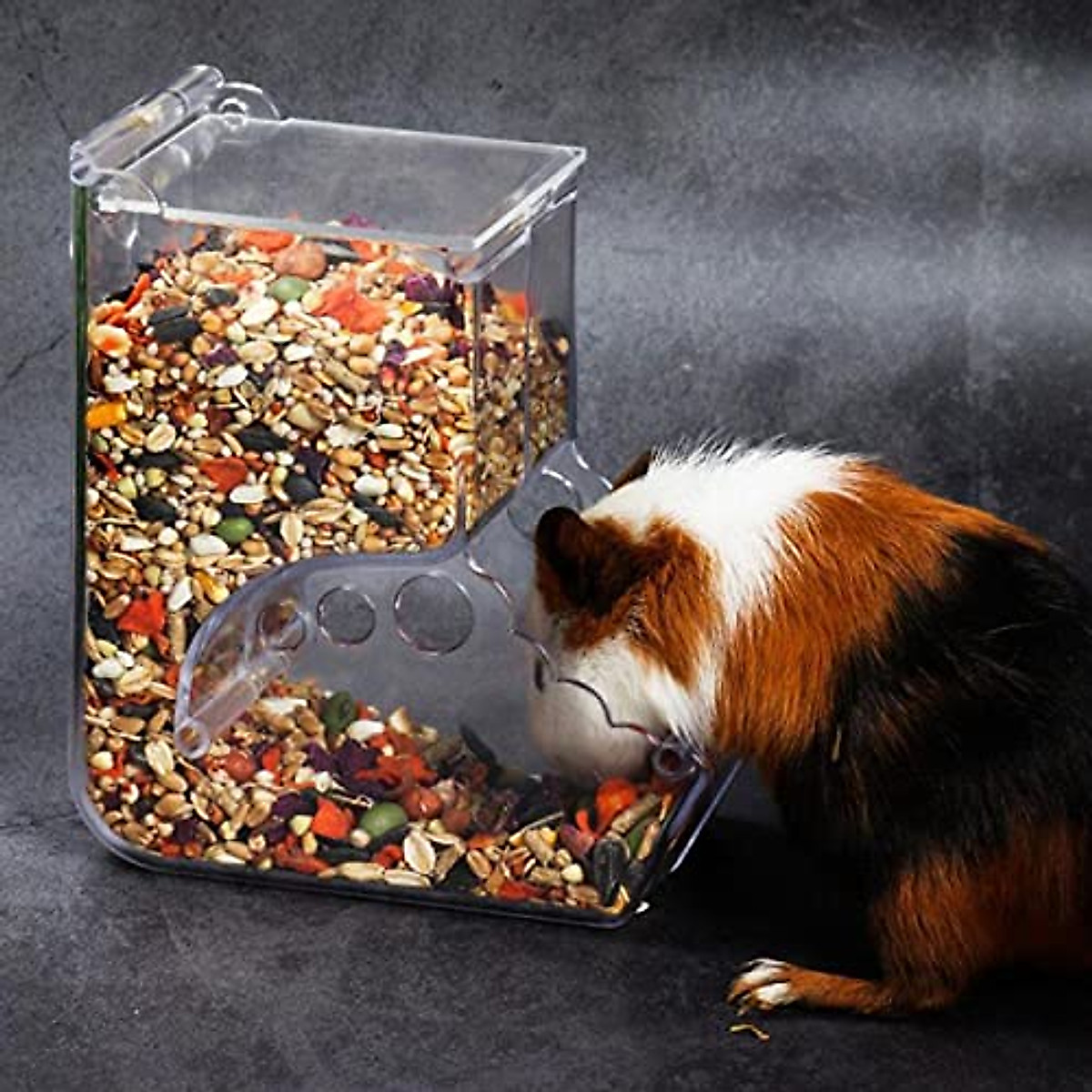 Lucky Interests 2 pcs Hamster Automatic Feeder 400ml, Hamster Food Dispenser with Brackets Small Animals Food Bowl for Dwarf Hamster Guinea Pig Chinchilla Gerbil Bird Hedgehog Ferret with 2 Spoon