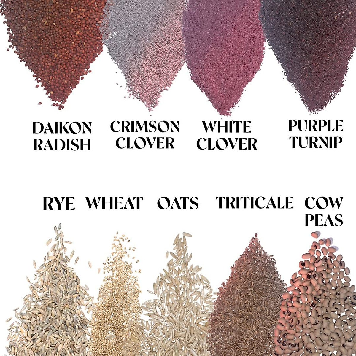 No-Till Cover Crop 10 Seed Mix - Winter Rye, White Clover, Austrian Winter Peas, Triticale, Crimson Clover, Cow Peas, Daikon Radish, Purple Turnips, Wheat, Oats, (25 Pounds)