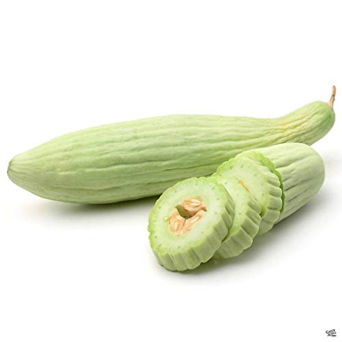 Armenian Yard Long Cucumber Seeds - Cucumis Sativus - 2 Grams - Approx 50 Gardening Seeds - Vegetable Garden Seed