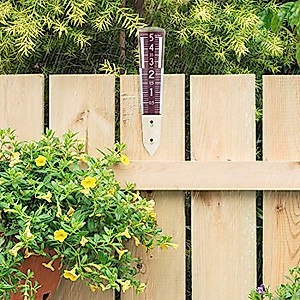 La Crosse 704-1531R-INT Large Magnifying Easy Read 5-Inch Capacity Acrylic Rain Gauge in Burgundy, Red
