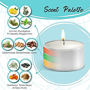 Moonlight Makers Same Penis Forever Candle, Beachwood Scented Handmade Candle, Natural Soy Wax Candle, 25+ Hour Burn Time, 8oz Tin