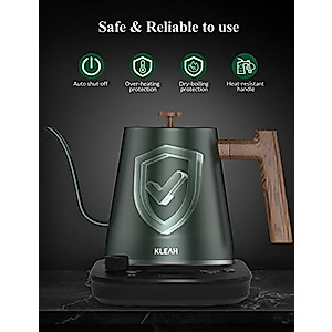 KLEAH Electric Kettle Gooseneck with Temperature Control Stainless Steel Automatic Shut Off Coffee Kettle Hot Water Boiler Pour Over Tea Kettle 1200 Watt Quick Heating Keep Warm, 0.8L for Gift