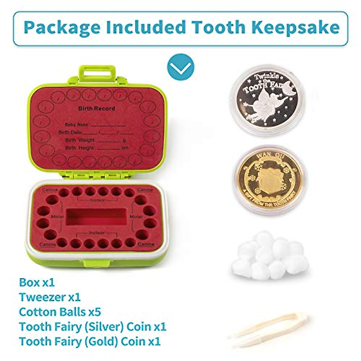 Baby Tooth Box Holder for Lost Teeth Keepsake with Tooth Fairy Silver Gold Coin